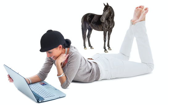 Secure data management software for British Dressage show secretaries ...